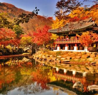 Best Autumn/Fall Foliage Paths in Seoul - Trazy, Korea's #1 Travel Shop