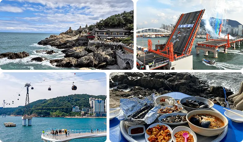 Busan Local 1-Day Tour: Temple, Yeongdo & Fishing - Trazy, Korea's #1 ...