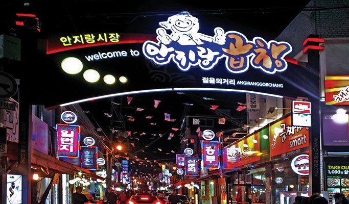 Daegu City Tour Bus Ticket - Trazy, Korea's #1 Travel Guide
