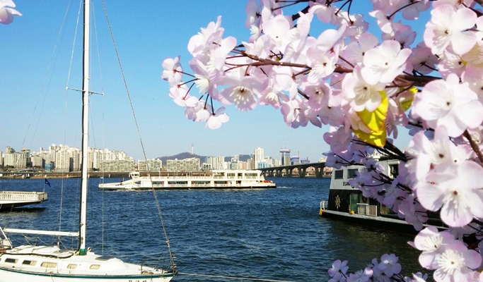 Han River Cruise (Day & Night) Ticket - Trazy, Korea's #1 Travel Guide