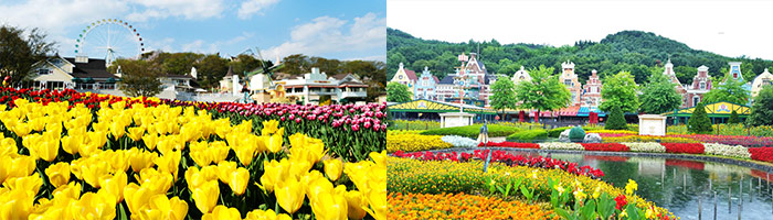 Everland Discount Ticket & Shuttle Bus Package from Seoul - Trazy ...