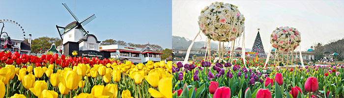 Everland Discount Ticket & Shuttle Bus Package from Seoul - Trazy ...