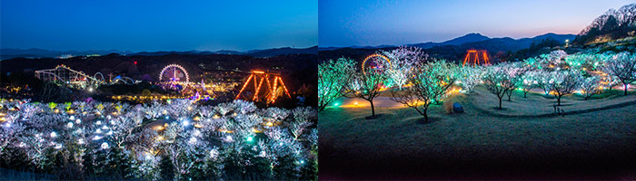 Everland Korea Discount Ticket - One Day Pass - Trazy, Korea's #1 ...