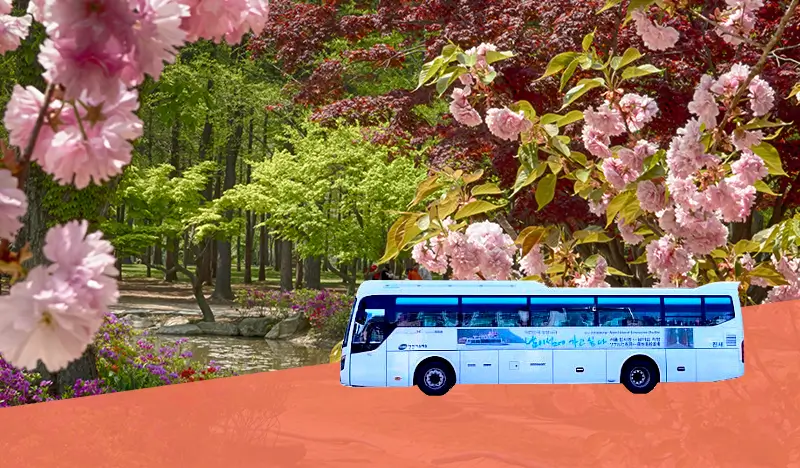 Nami Island 2D1N Tour with Shuttle Bus & Hotel Stay - Trazy, Korea's #1 ...