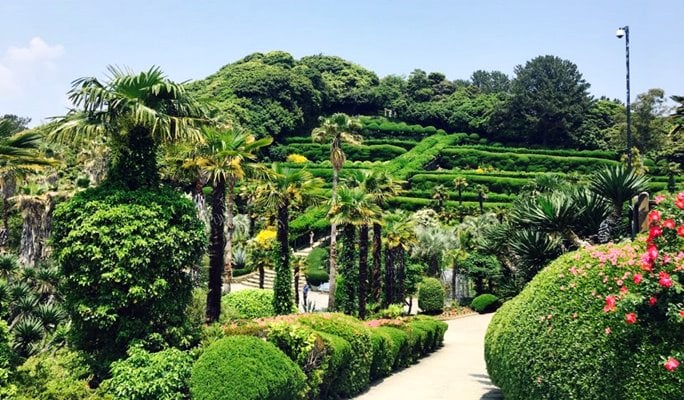 Oedo Island: Oedo Botania One Day Tour From Busan - Trazy, Korea's #1 ...