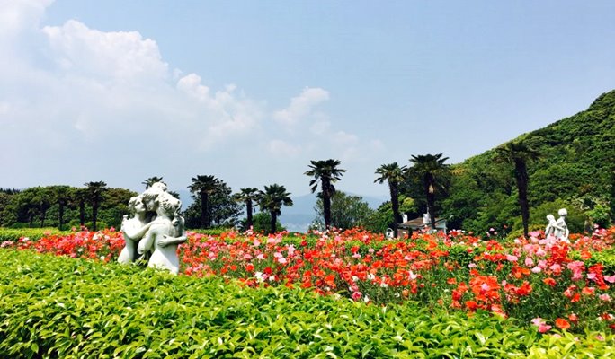 Oedo Island: Oedo Botania One Day Tour From Busan - Trazy, Korea's #1 ...