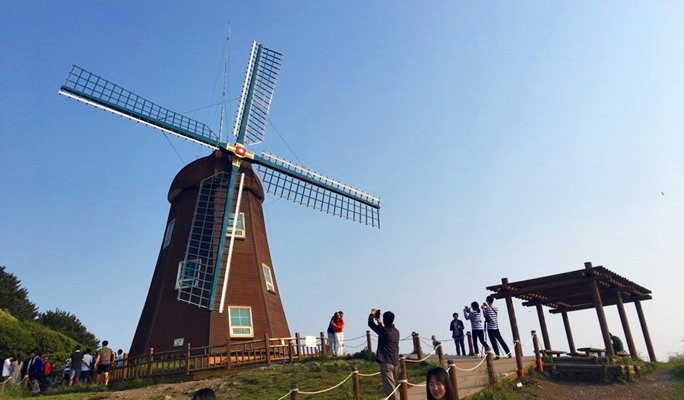 Oedo Island: Oedo Botania One Day Tour From Busan - Trazy, Korea's #1 ...