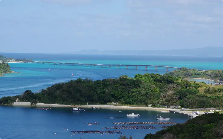 Private Van Charter Tour in Okinawa (up to 4~9 passengers)
