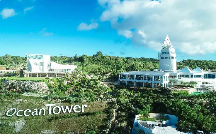 Private Van Charter Tour in Okinawa (up to 4~9 passengers)