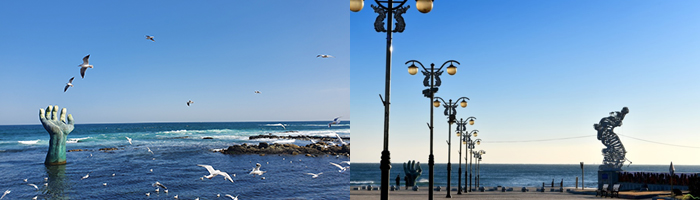 Pohang K-Drama Private Tour from Busan ('When the Camellia Blooms ...