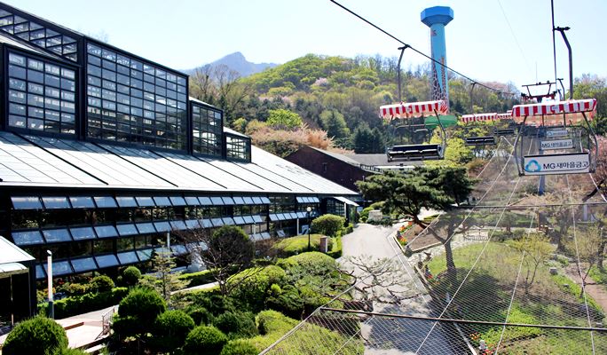 Seoul Land Amusement Park Discount Ticket - Trazy, Korea's #1 Travel Guide